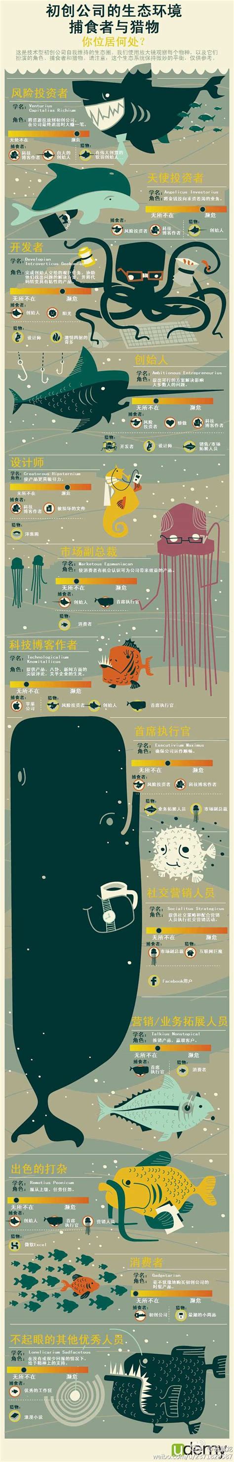 初创公司的生态环境 捕食者与猎物