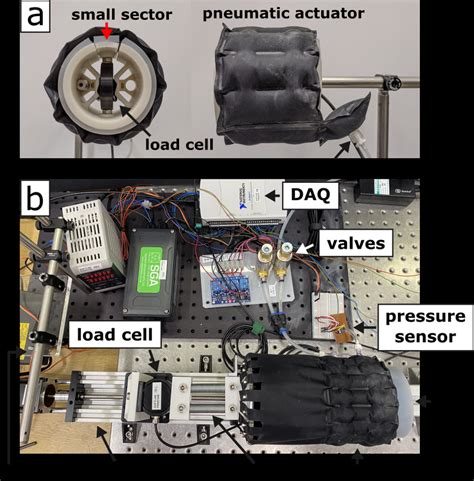 Experimental Setups A Compressing Force Evaluation And B Holding
