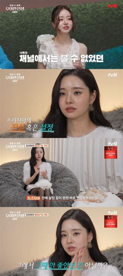 프리지아 가품 논란 후 1년하루 7시간 게임 집순이 어저께tv Osen