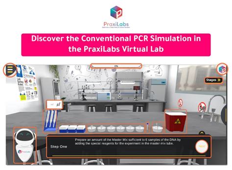 Online Pcr Simulations Real Time And Conventional