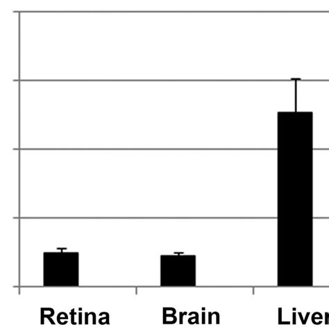 Detection Of M Tuberculosis Is6110 Multicopy Element Insertion