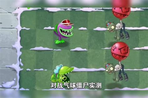 植物大战僵尸食人花食人花豌豆，攻击力实测，最强的植物诞生了！