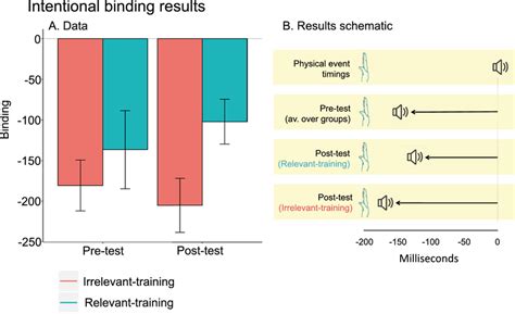 Intentional Binding Results And Schematic Summary A While Both Groups