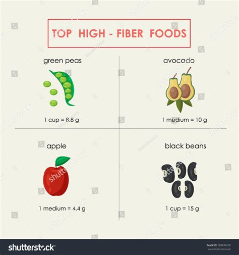 Top High Fiber Foods Set Green 库存矢量图（免版税）288834230 Shutterstock