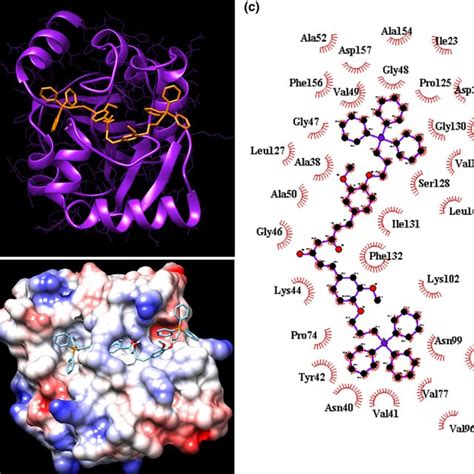 Docked Conformation Of Mc At Active Site Of Macrodomain Of Nsp3 Pdb Id