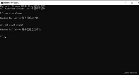 Vs Vs Description X Csdn