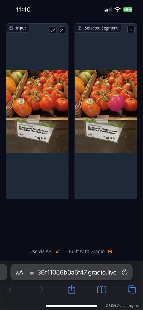 万物皆可分割——用openvino™加速sam Segment Anything Modelopenvino加速sam Csdn博客