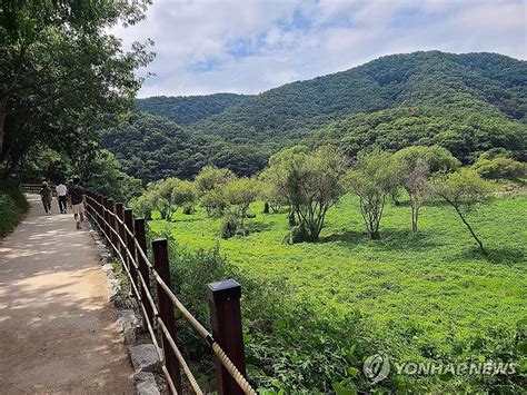 르포 선사시대 시간여행 떠나는 체험세계유산 바위그림에 인파