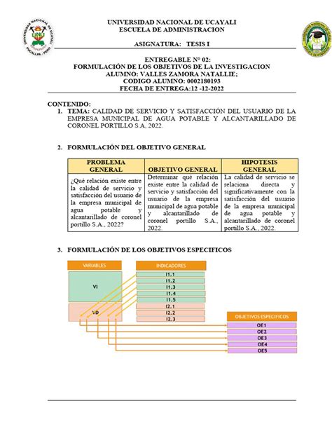 Formulación De Los Objetivos De La Investigación Pdf