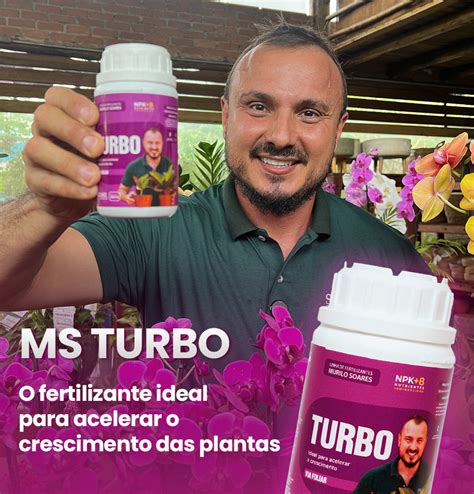 Spagnhol Plantas Ornamentais Loja Virtual