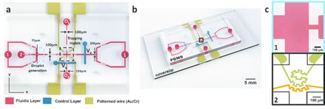 Integrated Microfluidic Platform For Both Flow And Localized Download Scientific Diagram