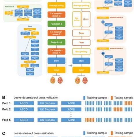 Flow Diagram For The Alzheimers Disease Ad Transfer Learning