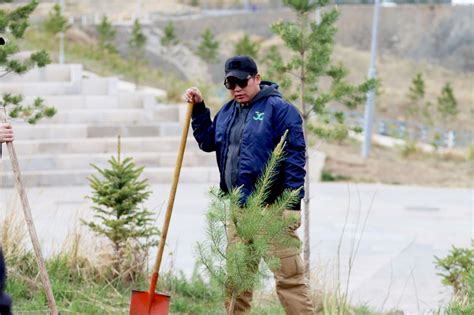Чингэлтэй дүүрэг Chingeltei District “ТЭРБУМ МОД” ҮНДЭСНИЙ ХӨДӨЛГӨӨНИЙ ХҮРЭЭНД ДҮҮРГИЙН