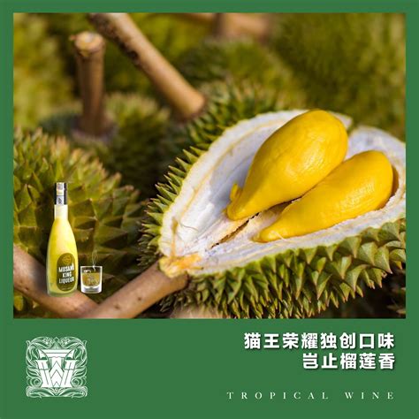 Tropical Wine 猫王荣耀独创口味 岂止榴梿香~ 猫山王榴梿酒使用100的貓山王果肉製作，精心采用獨門的專利發酵釀製而