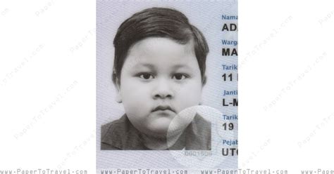 Photograph Malaysia International Passport — Model K — Icao