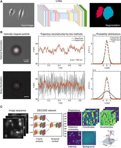 Image Analysis By Neural Networks A Pixel Wise Classification To Download Scientific Diagram