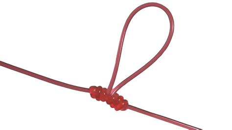Fishing Knots How To Tie A Dropper Loop Knot The Side Loop On The
