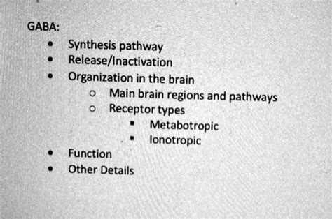 Solved Gaba Synthesis Pathway Release Inactivation Organization In