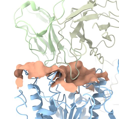 Epitope Mapping For Drug Discovery