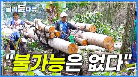 이게 되네 오토바이에 캐스퍼만큼 실어버리기│통나무 300kg 오토바이 한 대로 네 식구 먹여살리는 사람들에게 불가능이란
