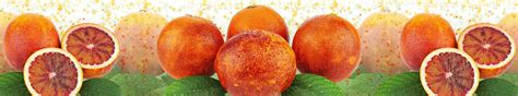Скинали №2327 Красные апельсины фартук для кухни в Москве