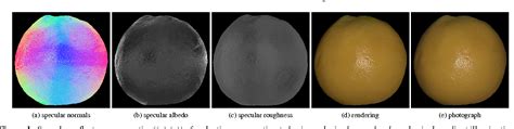 Figure 1 From Estimating Specular Roughness From Polarized Second Order