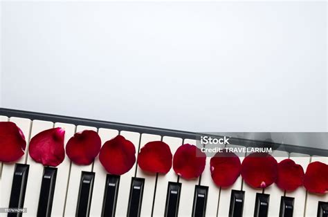 빨간 장미 꽃 꽃잎 절연 평면도 피아노 키 공간에 복사합니다 낭만적인 개념입니다 피아노 또는 합성기 키보드 로맨틱 음악 재생을 위한 클래식 음악 악기입니다 Classical