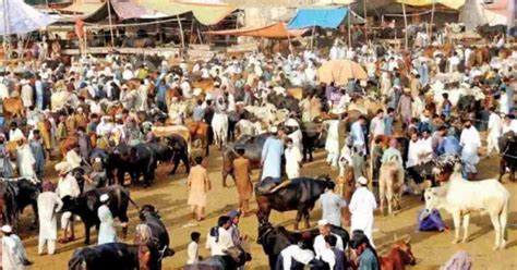 Revised Holiday Eid Ul Azha Bakra Eid 2025 New Holidays Pk