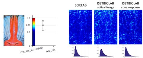Fileimage3 Rgbgpng Psych 221 Image Systems Engineering Fileimage3 Rgbgpng Psych 221 Image Systems Engineering
