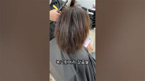 녹은머리복구 탄머리복구 망한머리 복구매직전문 복구펌 복구전문 미용사 미용인 Youtube