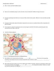 Understanding Neurons: Structure, Function, and Communication in | Course Hero