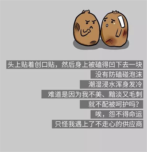 一颗猕猴桃的1001种死法 中国新闻周刊网
