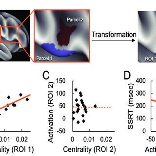 Relations Among Behavior Task Activation And Network Centrality A