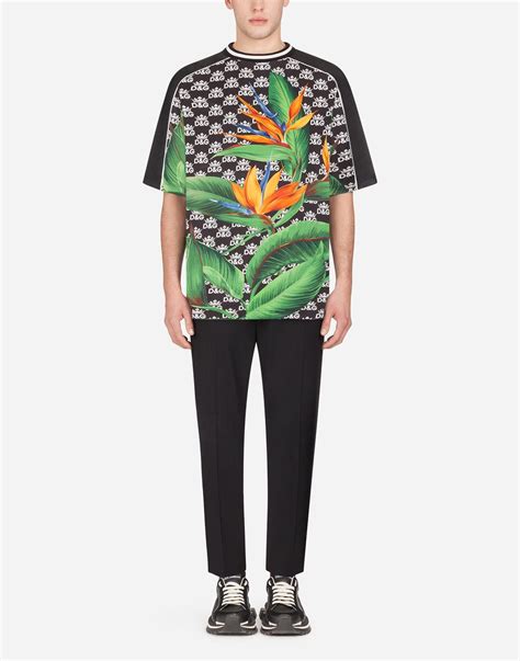 Dolce & Gabbana Cotton T-shirt With Dg Logo And Bird Of Paradise Print ...