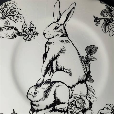 3 Adorable Vintage Barnyard Toile Bunny Rabbit Dessert Luncheon Salad