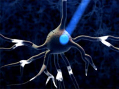 Accessory Plasmids For Optogenetics Synthetic Neurobiology Group