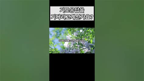 기도응답을 기다릴때 이렇게 기도하세요 응답을 경험했어요 절대 걱정마세요 염려마세요 이 기도문으로 2025년 분명히 달라집니다 말씀의 능력이 함께하도록 기도하며