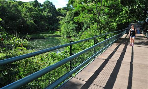 Após obras Parque Olhos D Água é entregue à população Jornal de Brasília