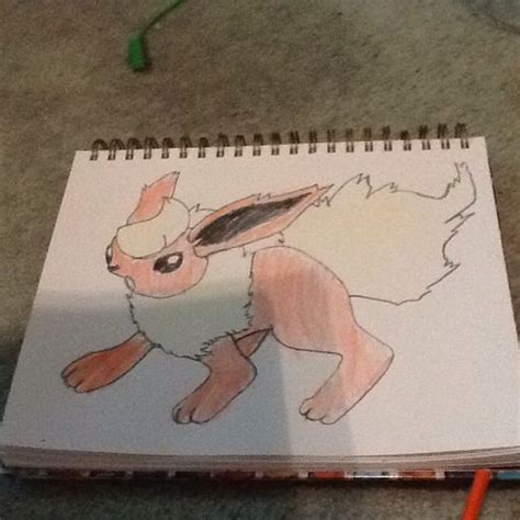 Flarion Pokémon Amino