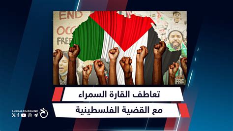 تعاطف القارة السمراء مع القضية الفلسطينية Youtube
