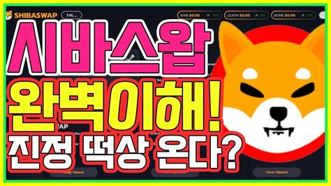 시바스왑 완벽 정복 드디어 떡상 각 뭔지 알아야 투자도 하는 것 시바이누 코인 토큰 시바코인 시바토큰 도지코인 밈코인 Youtube