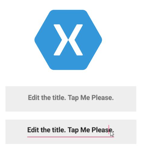 Building An Edit Label Custom Control In Xamarin Forms Doumers Blog