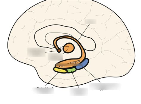 Chapter 9 Memory Diagram Quizlet