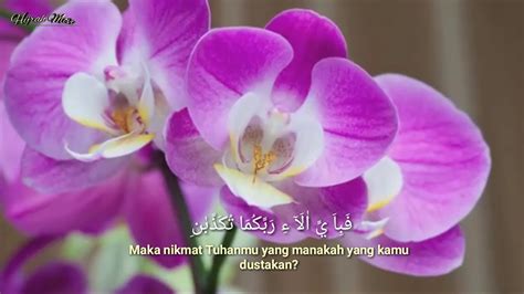 Surah Ar Rahman Mishary Rashid Youtube