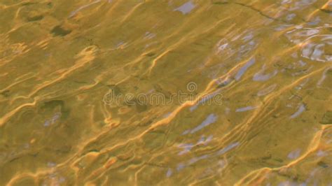 Clear Water In The River Natural Background Waves On The Surface Of The Water Stock Footage