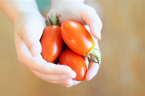 Bí Kíp Làm Vườn Trồng Cây Xen Canh Và Những Lưu ý Khi Trồng Cây Xen