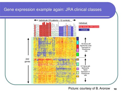 Ppt Introduction To Bioinformatics Lecture Viii Classification And