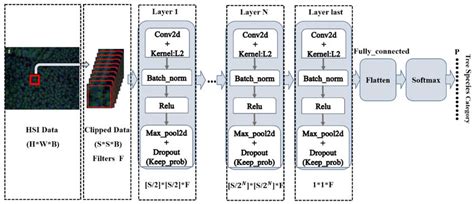 tree species classification framework based on the improved