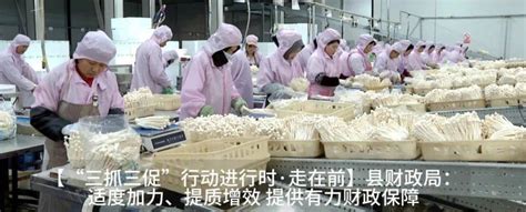甘肃省人民政府关于宣布失效有关文件的通知发展政策甘政发