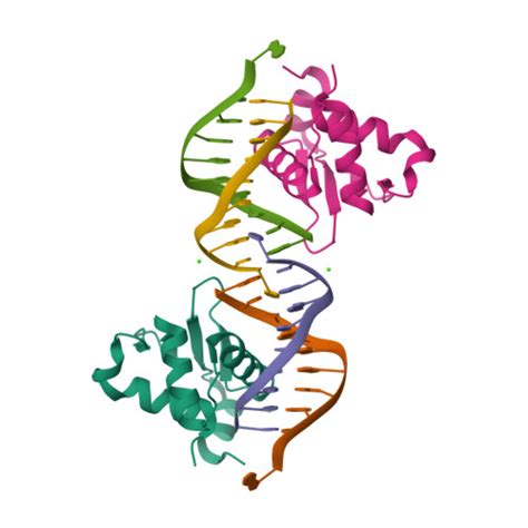 Rcsb Pdb 4uno Crystal Structure Of The Ets Domain Of Human Etv5 In